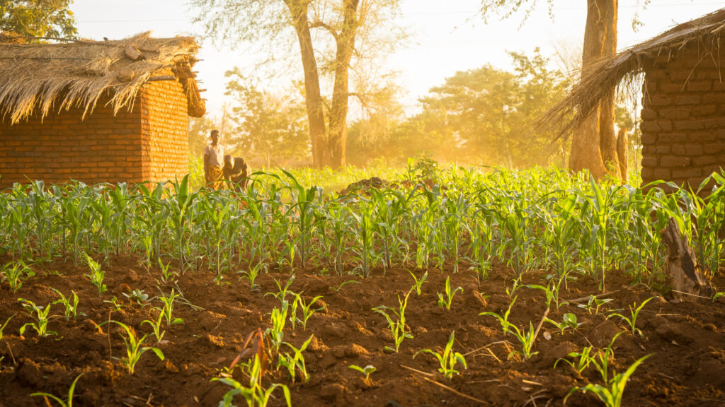 The Swedish International Development Cooperation Agency | Sida